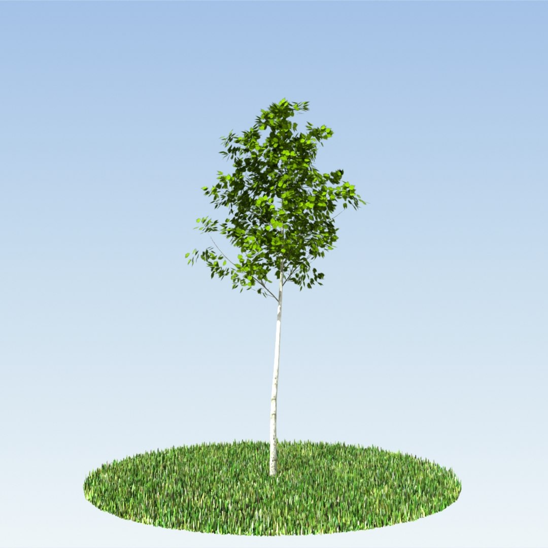 Tree - 3d Max