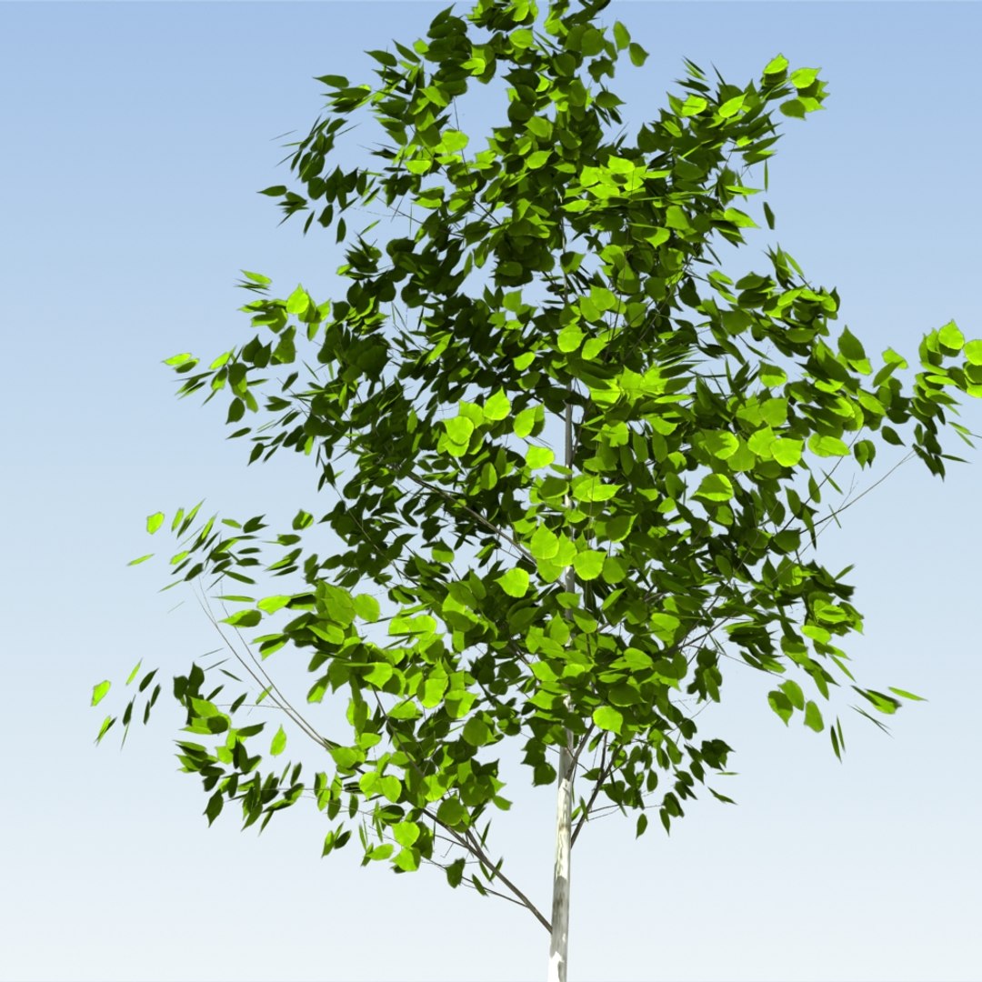 Tree - 3d Max