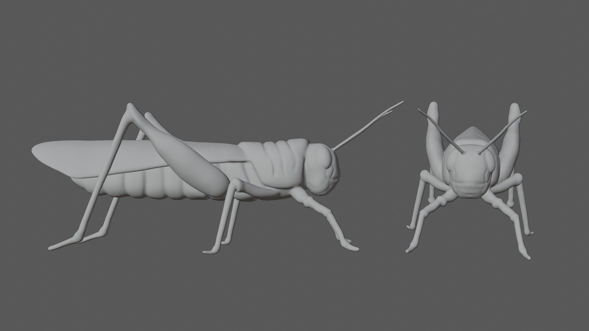 3D Rigged locust model - TurboSquid 1775171