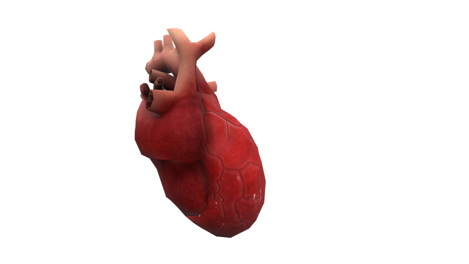 3D Model Oxygen Heart - TurboSquid 1389239