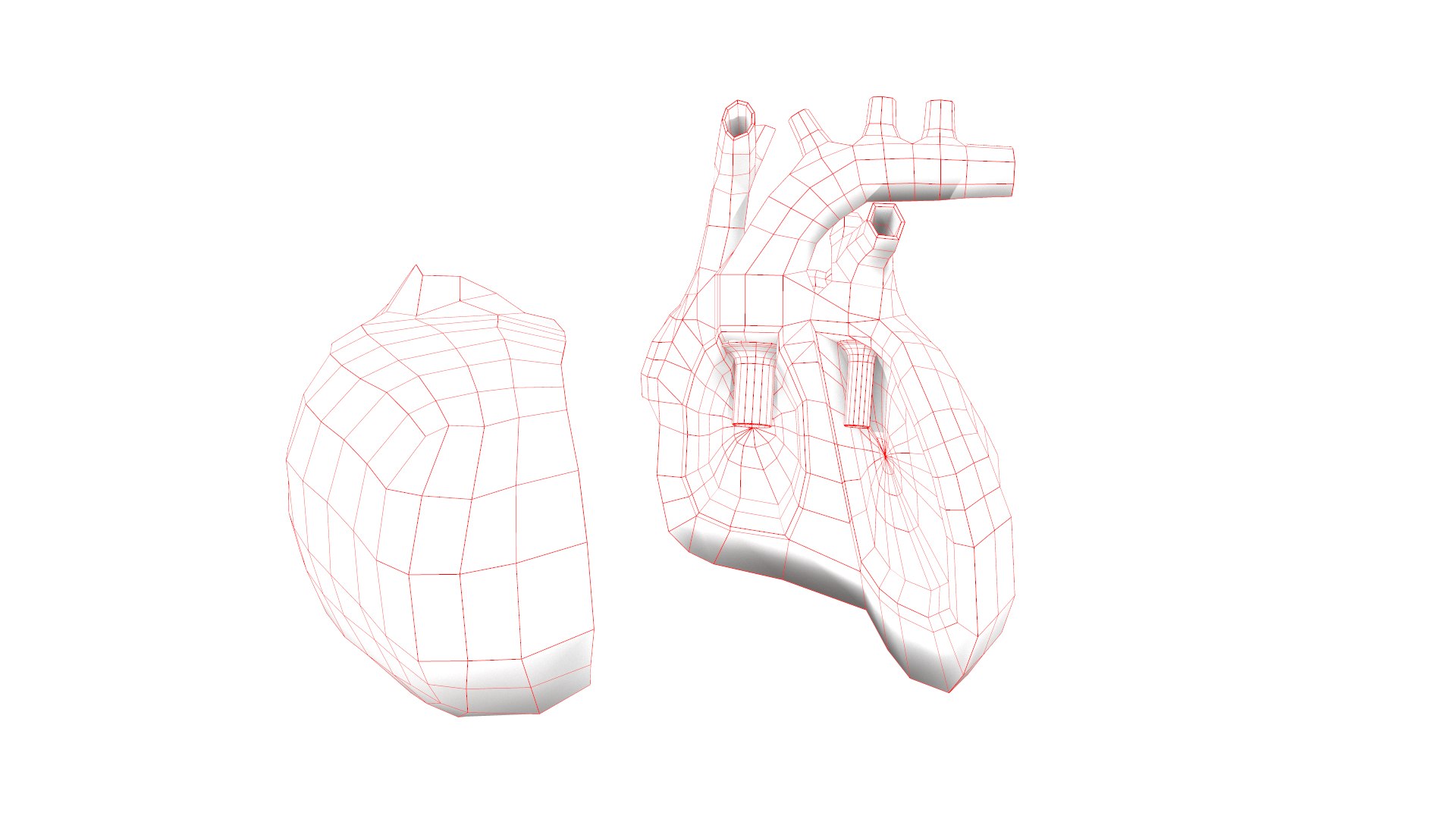 3D Model Oxygen Heart - TurboSquid 1389239