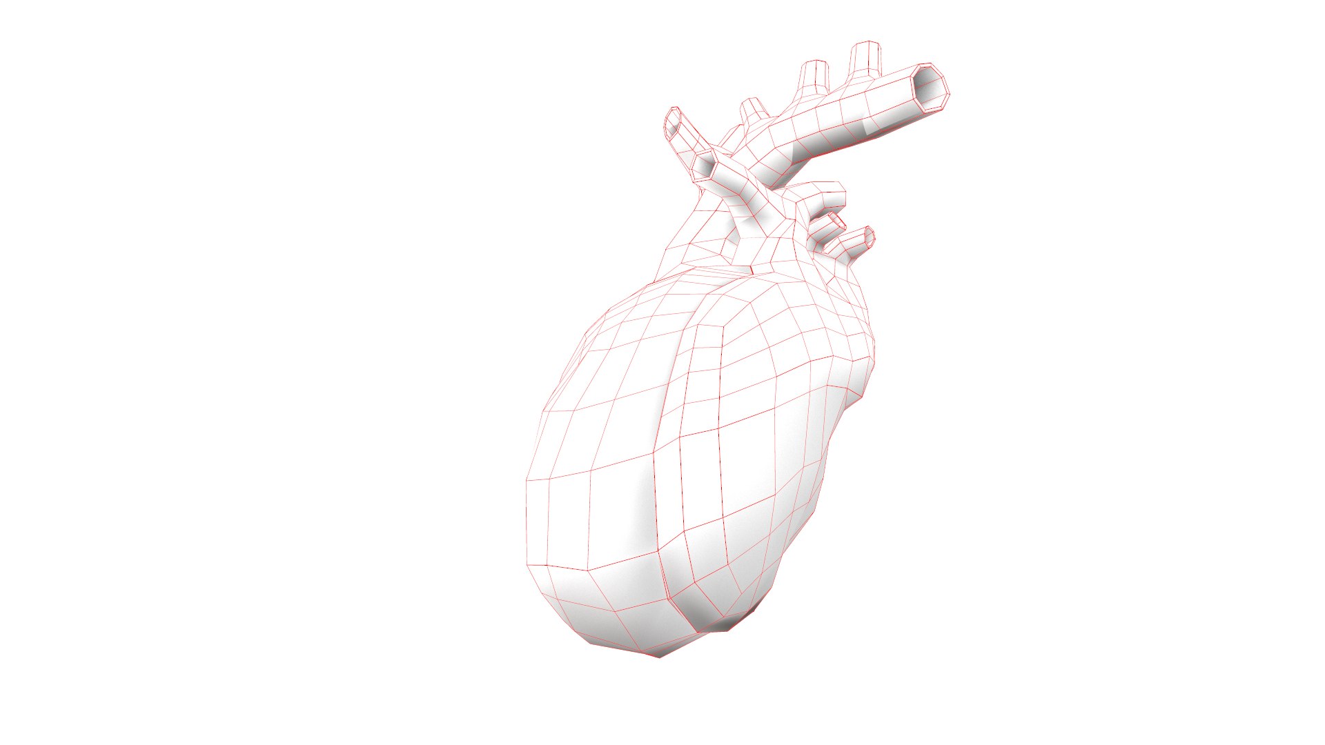 3D Model Oxygen Heart - TurboSquid 1389239