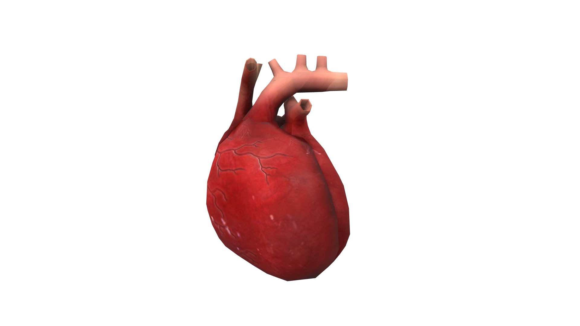 3D Model Oxygen Heart - TurboSquid 1389239