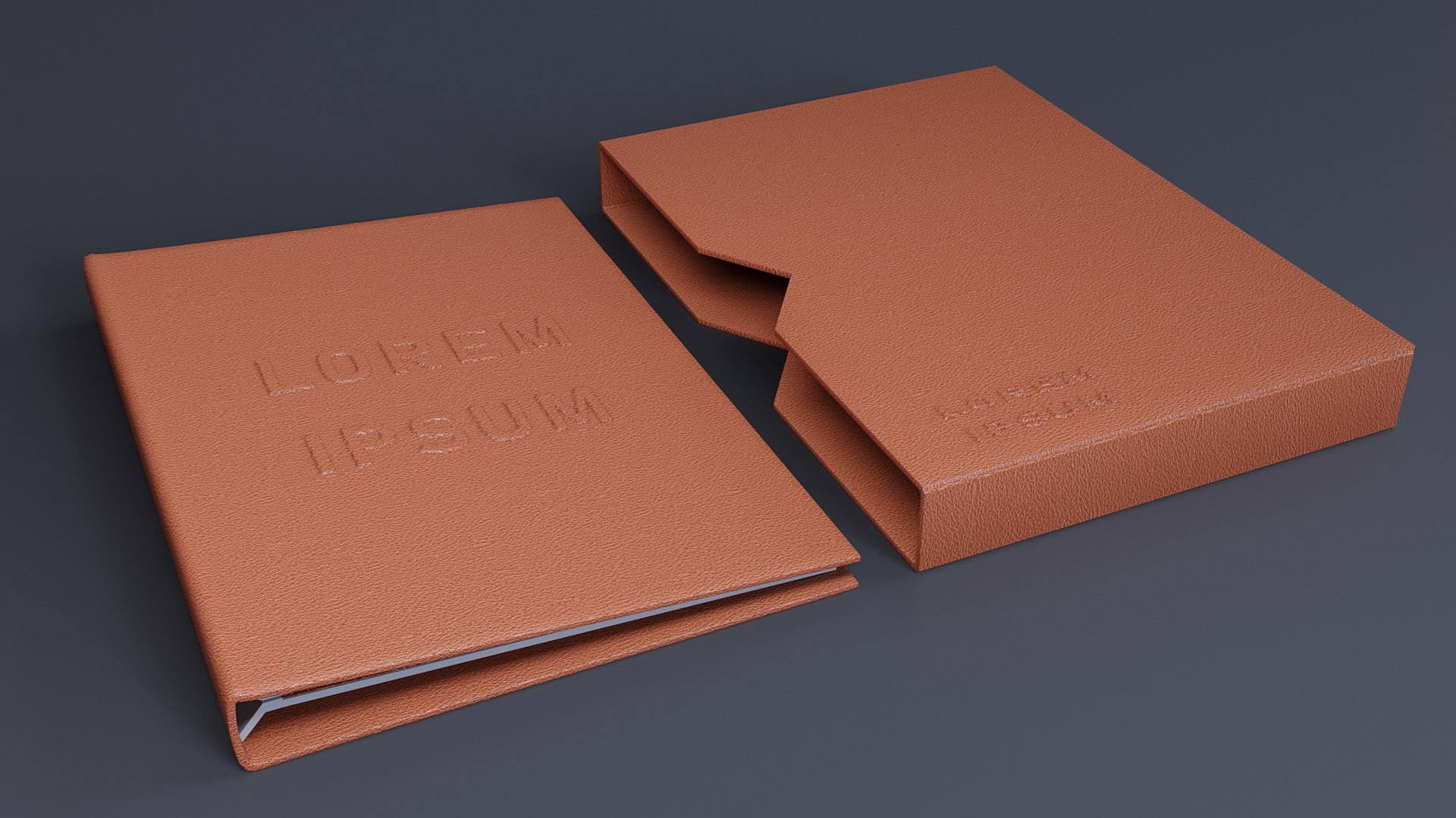 3D Album With Slipcase Storage Case - TurboSquid 2082562