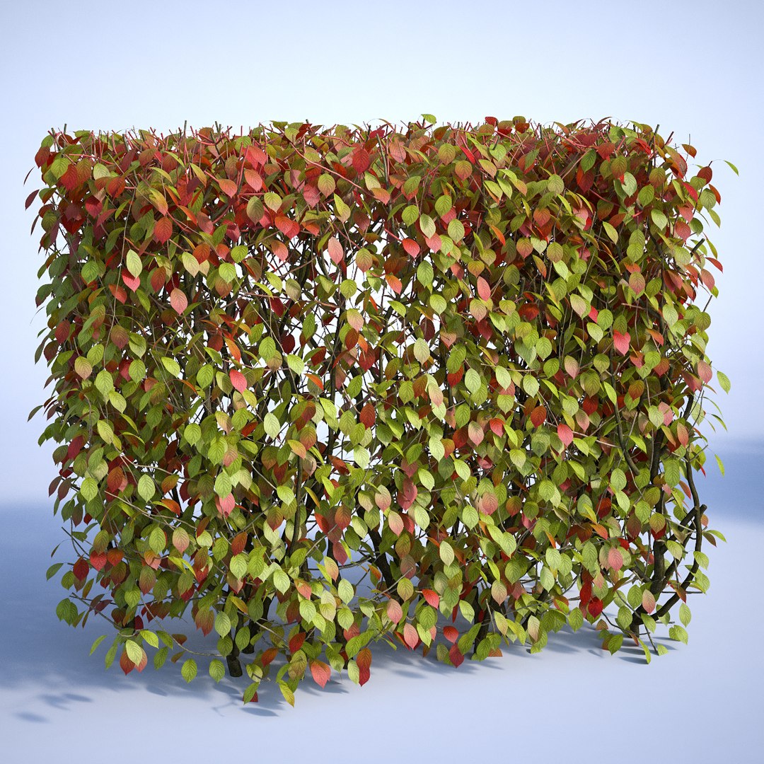 3d Model Set Autumn Bushes 2