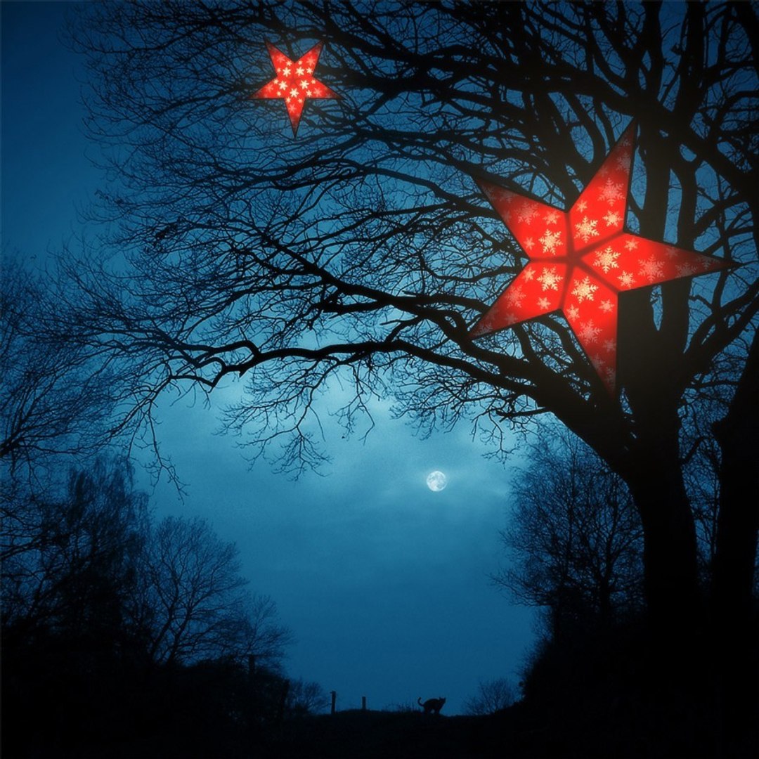 X-mas Star 3d Max