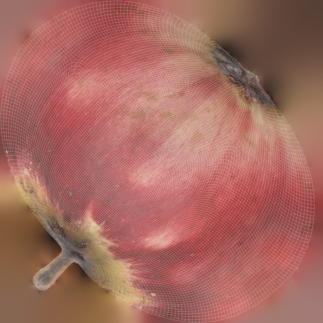 3D Model Apple And Half An Apple - TurboSquid 1948809