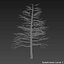3d Scan Pine Tree