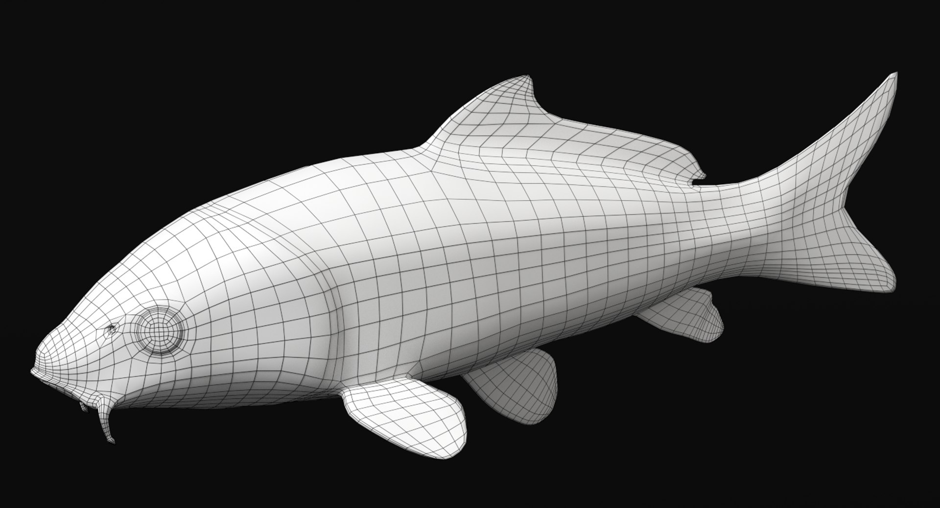 3d Model Koi Fish