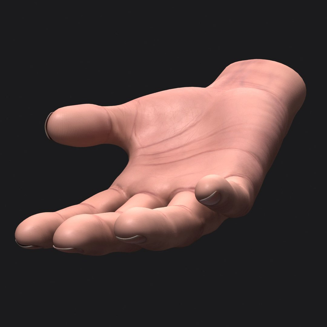 3ds max realistic male hand
