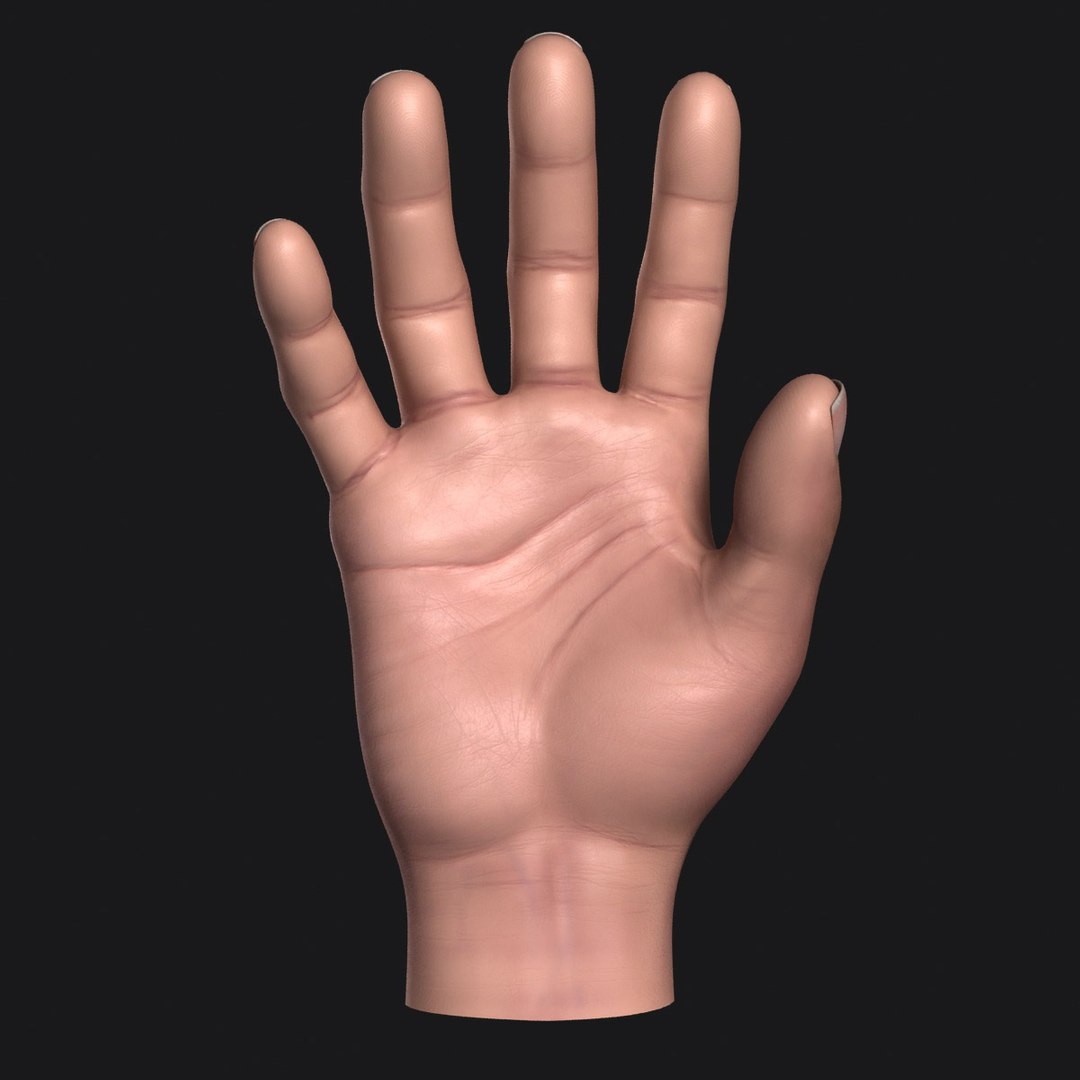 3ds max realistic male hand