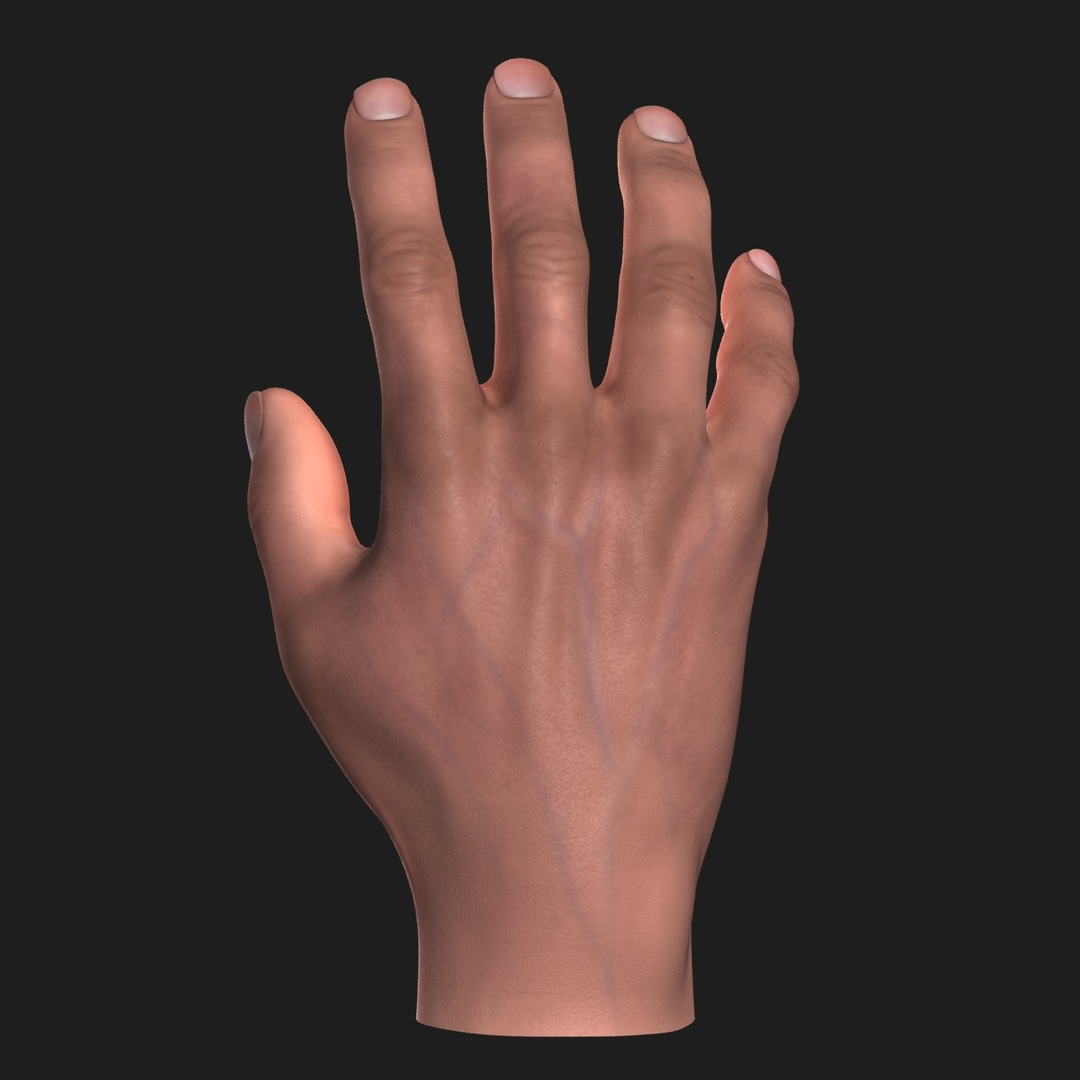3ds max realistic male hand
