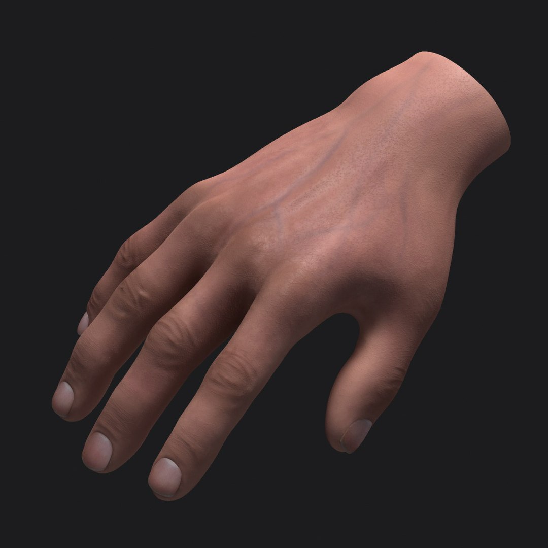3ds max realistic male hand