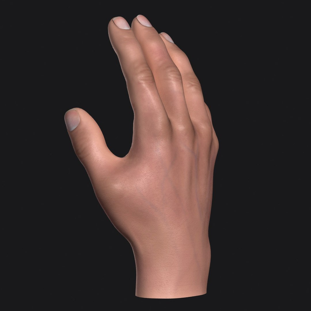3ds max realistic male hand