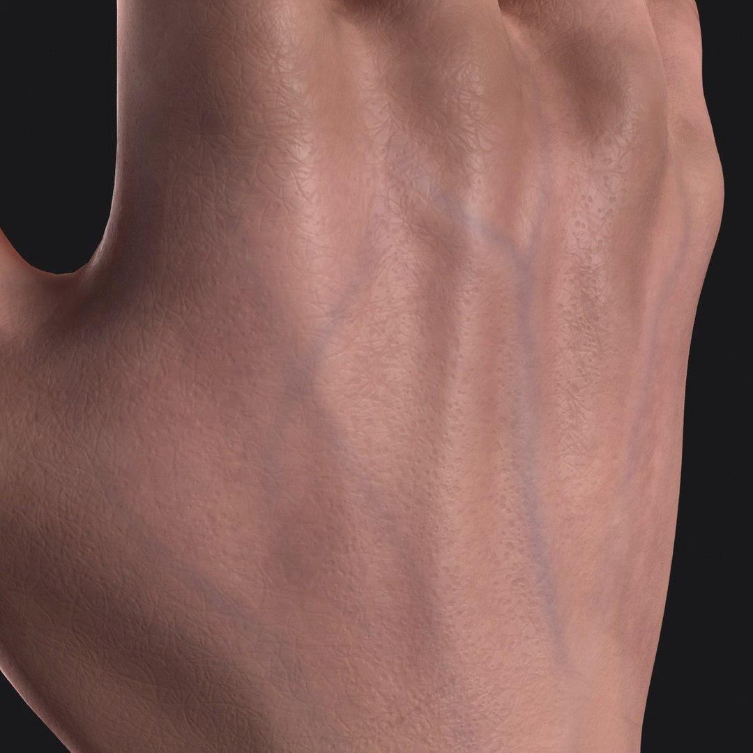 3ds max realistic male hand