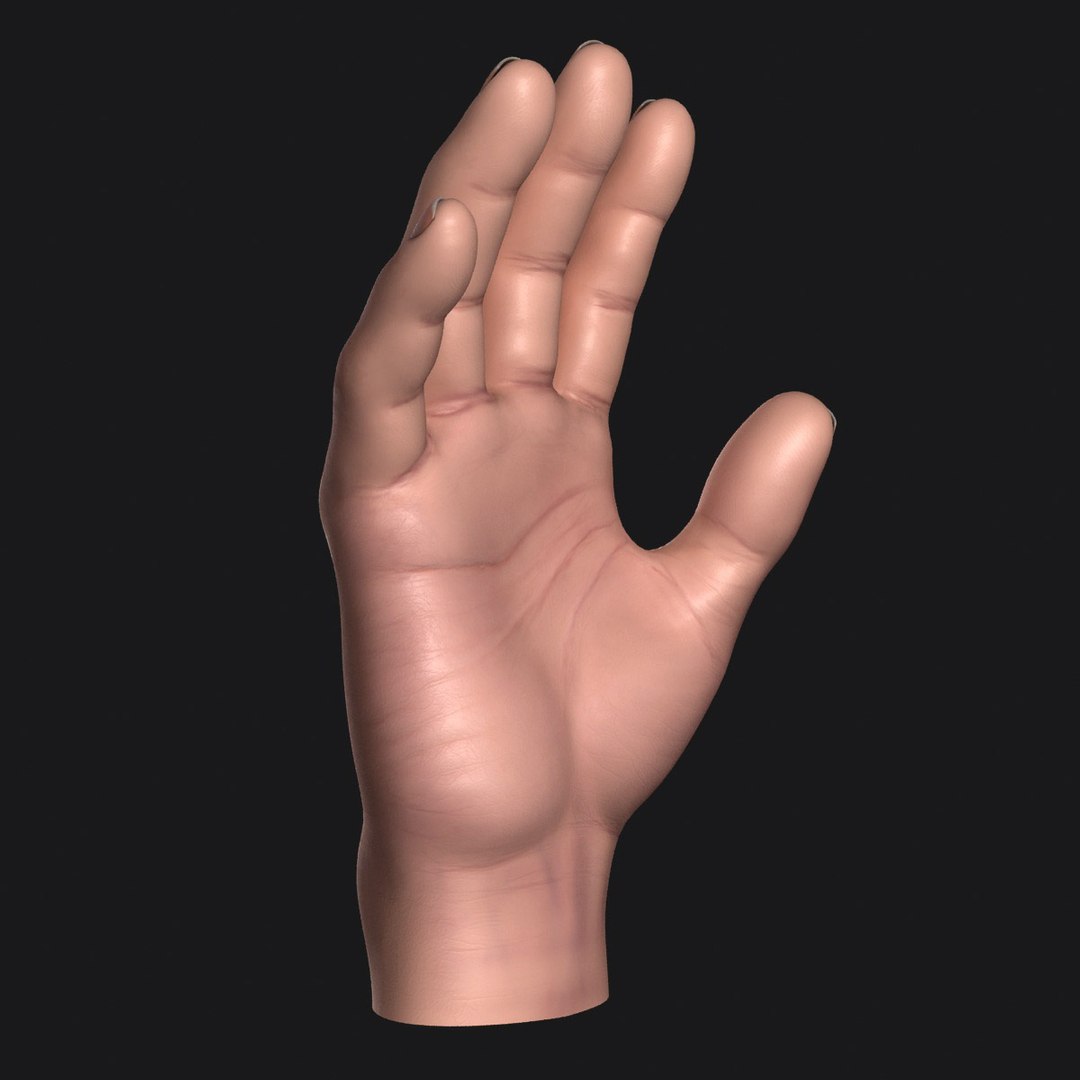 3ds max realistic male hand