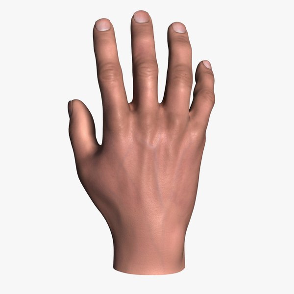 3ds max realistic male hand