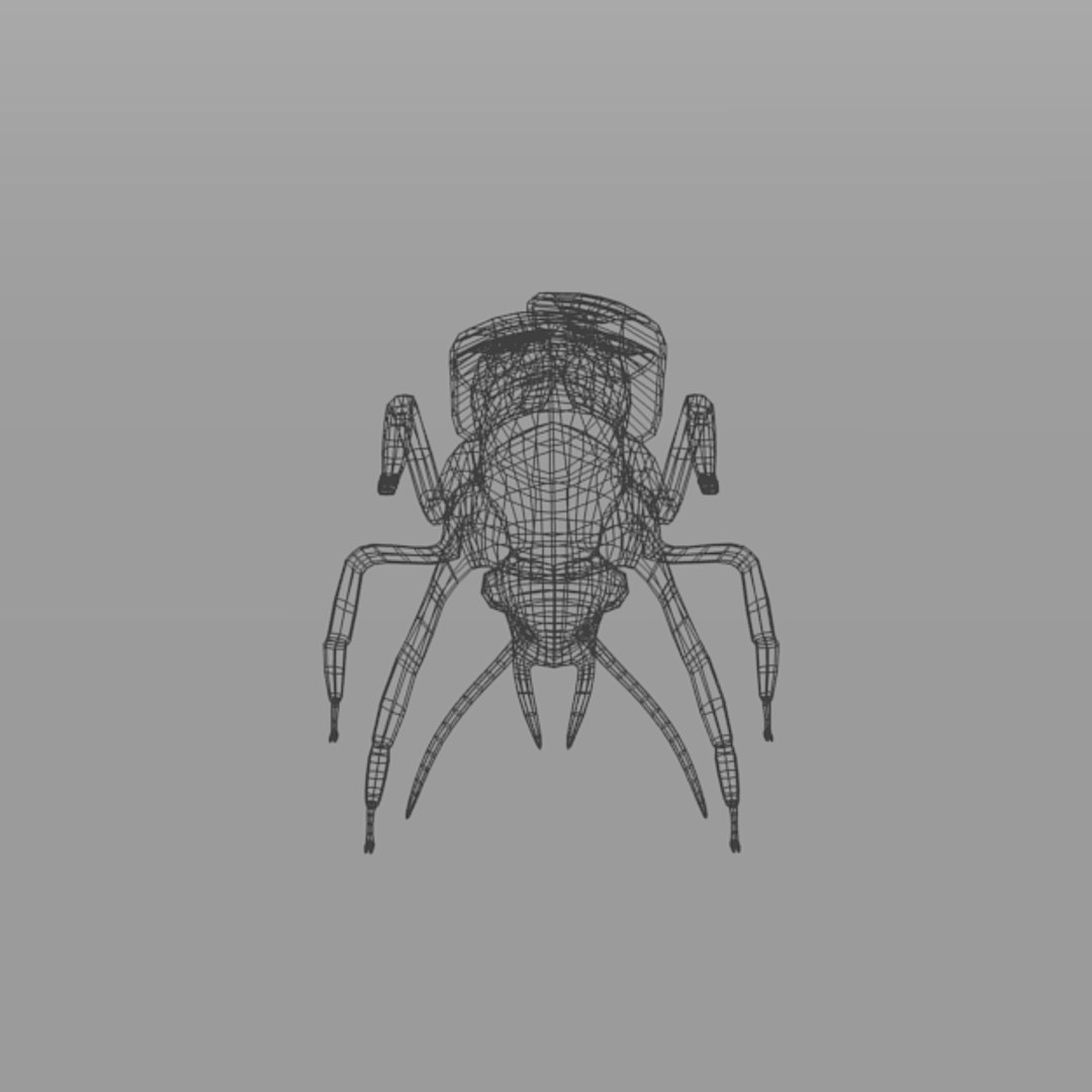 Roach Cockroach 3D Model - TurboSquid 1318753