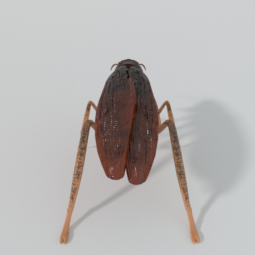Roach Cockroach 3D Model - TurboSquid 1318753