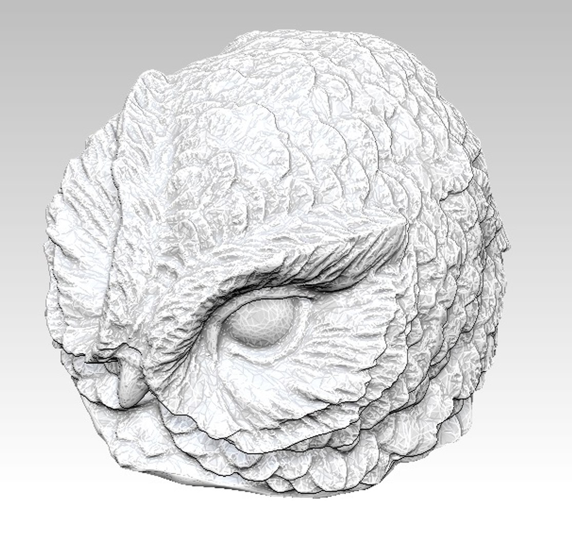 3D owl bird head model - TurboSquid 1326146