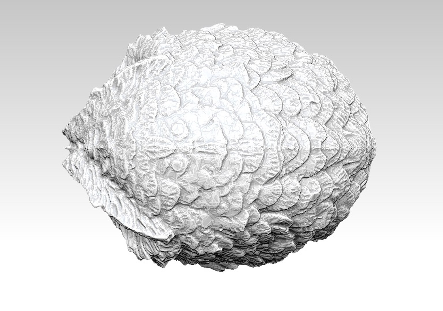 3D owl bird head model - TurboSquid 1326146