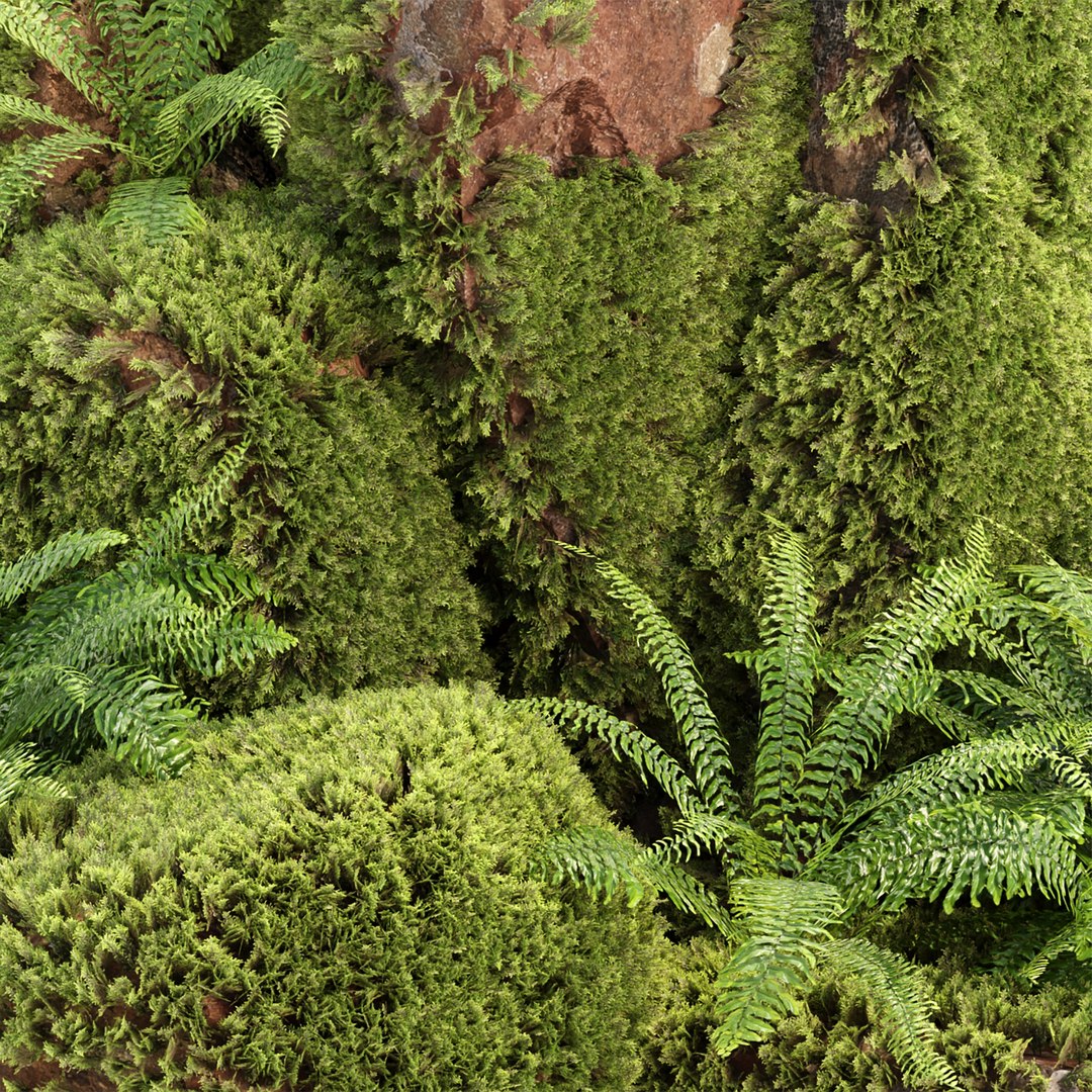 50 Natural Environment Models Bundle 3D Model - TurboSquid 2495209