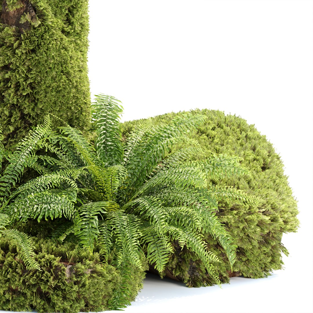 50 Natural Environment Models Bundle 3D Model - TurboSquid 2495209