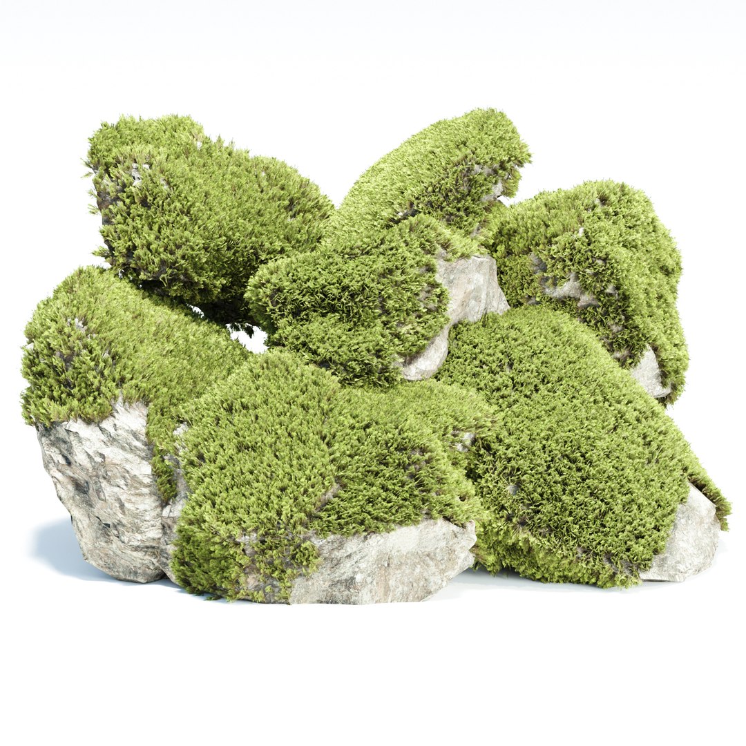 50 Natural Environment Models Bundle 3D Model - TurboSquid 2495209