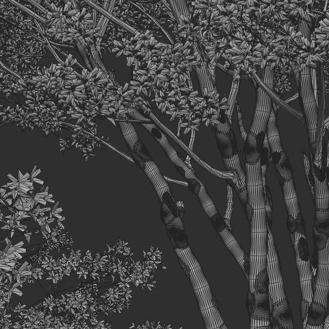 3D Set Of Amelanchier Lamarckii Or Juneberry Trees -2 Trees ...
