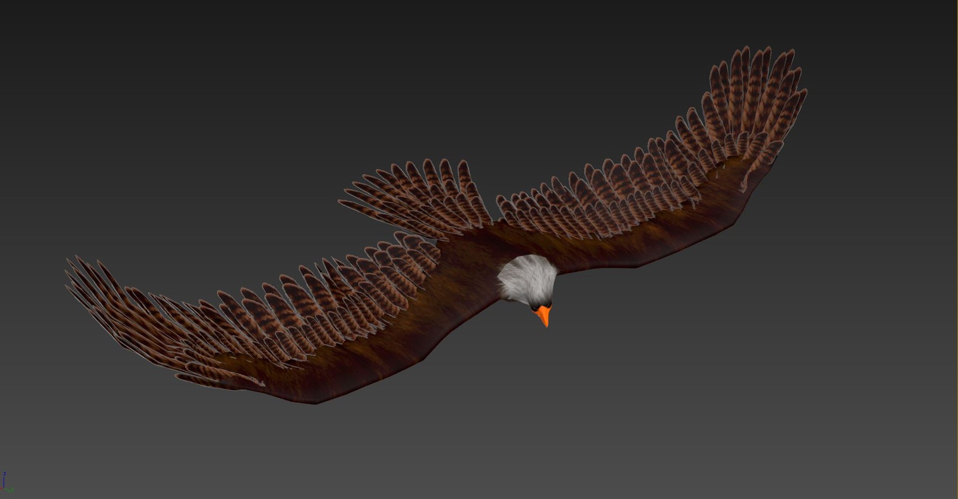 3D rigged eagle model - TurboSquid 1380376