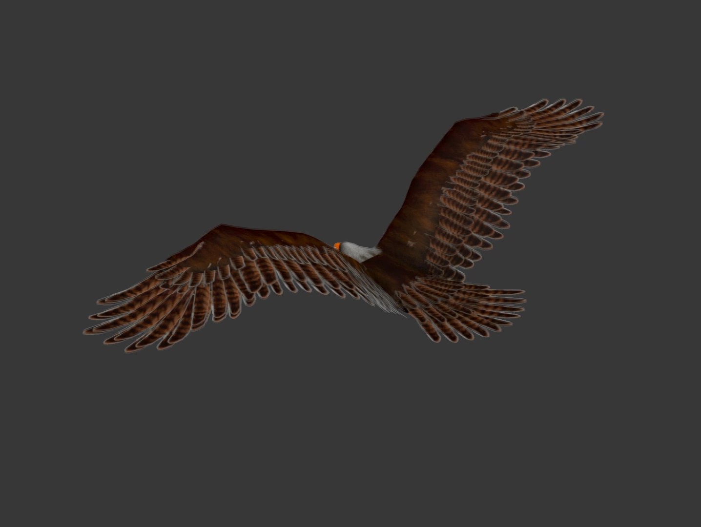 3D rigged eagle model - TurboSquid 1380376