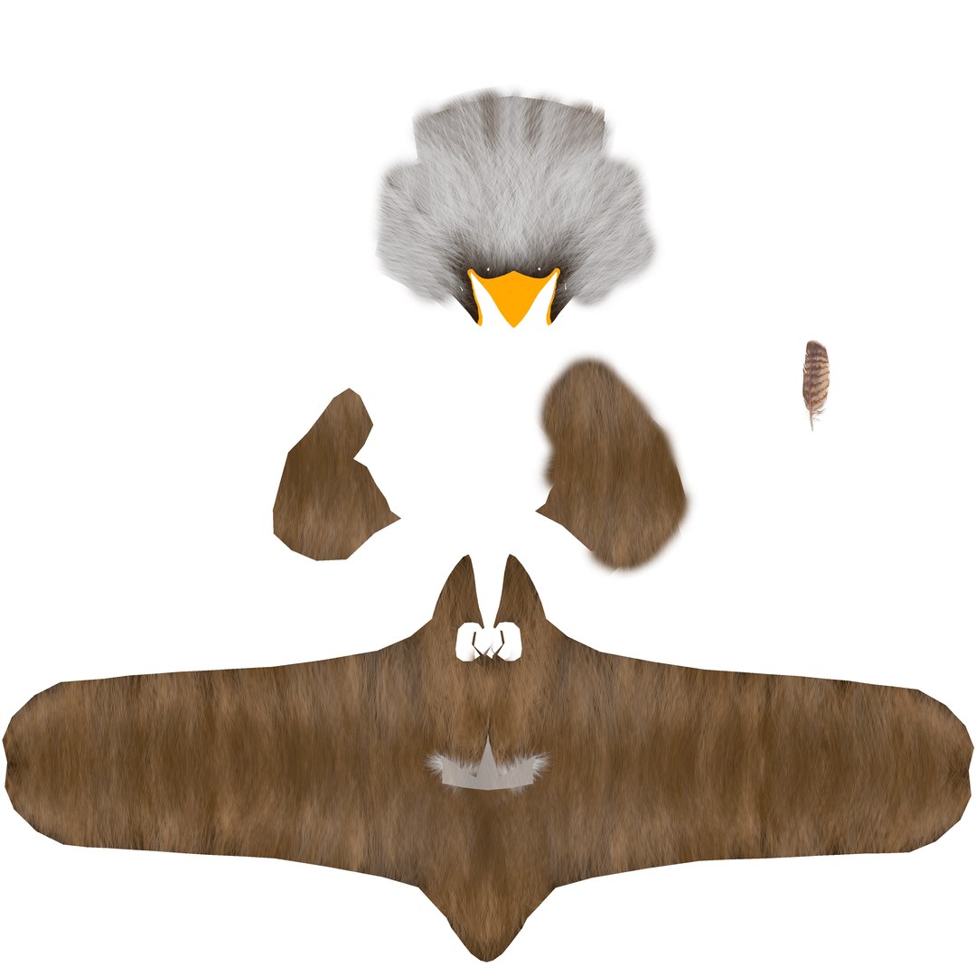 3D rigged eagle model - TurboSquid 1380376