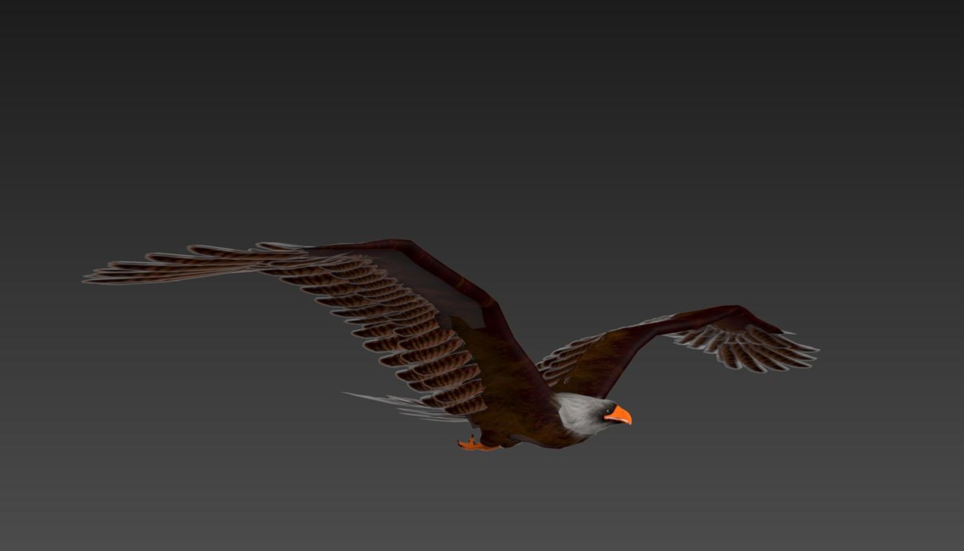 3D rigged eagle model - TurboSquid 1380376