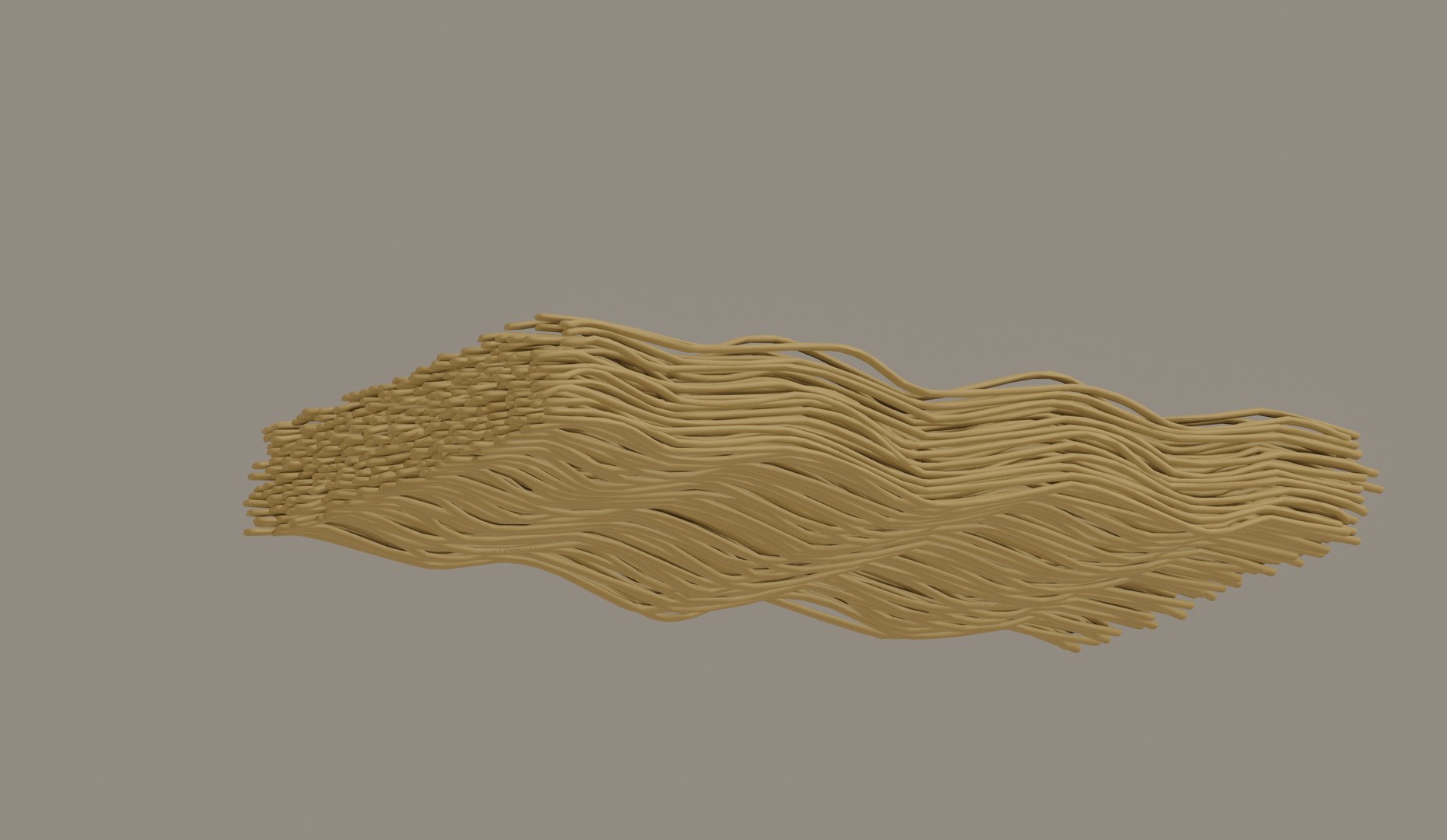 3D Dry Ramen Noodles model - TurboSquid 2058819