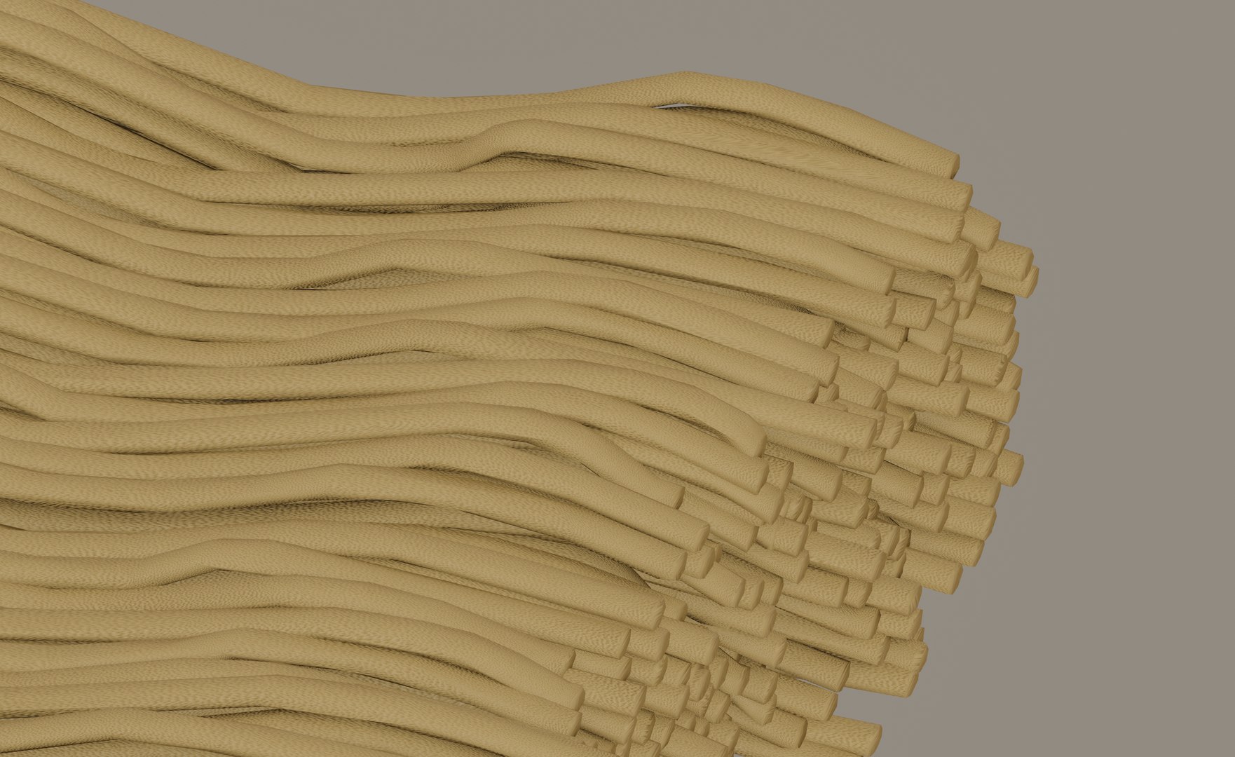 3D Dry Ramen Noodles model - TurboSquid 2058819