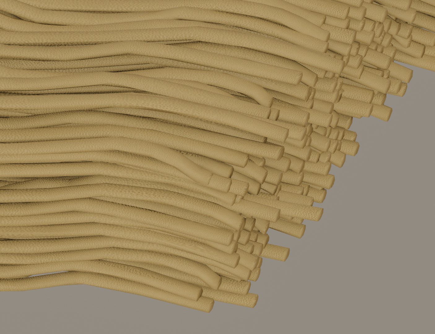 3D Dry Ramen Noodles model - TurboSquid 2058819