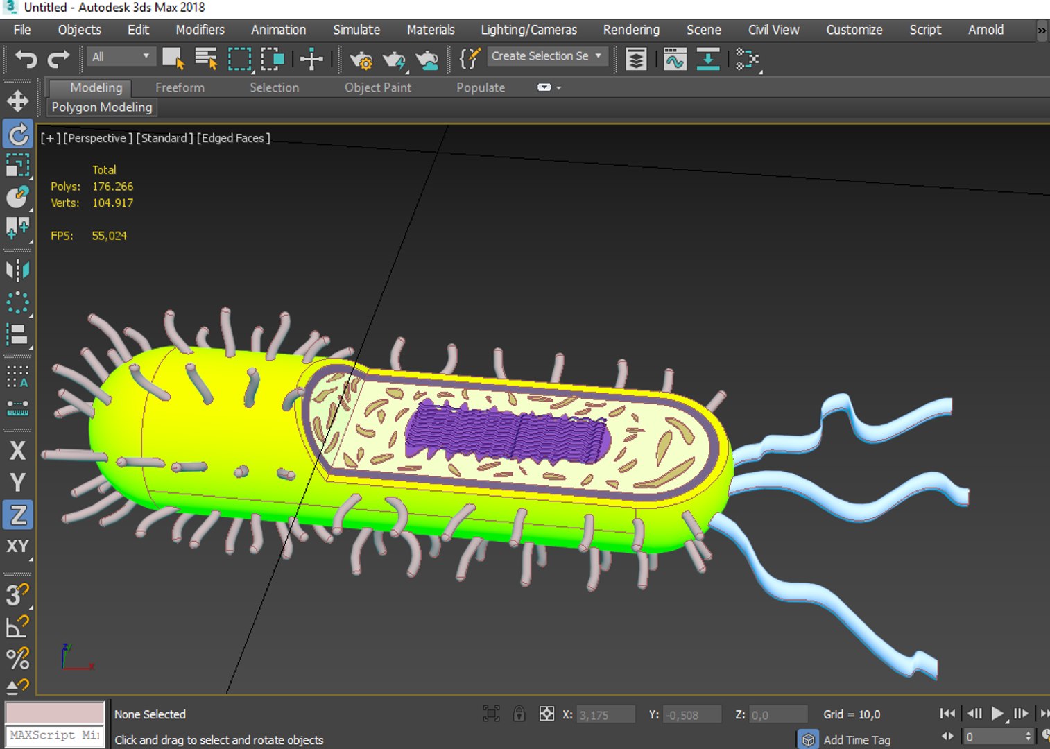 3D Model Bacteria Biological Cell - TurboSquid 1440376