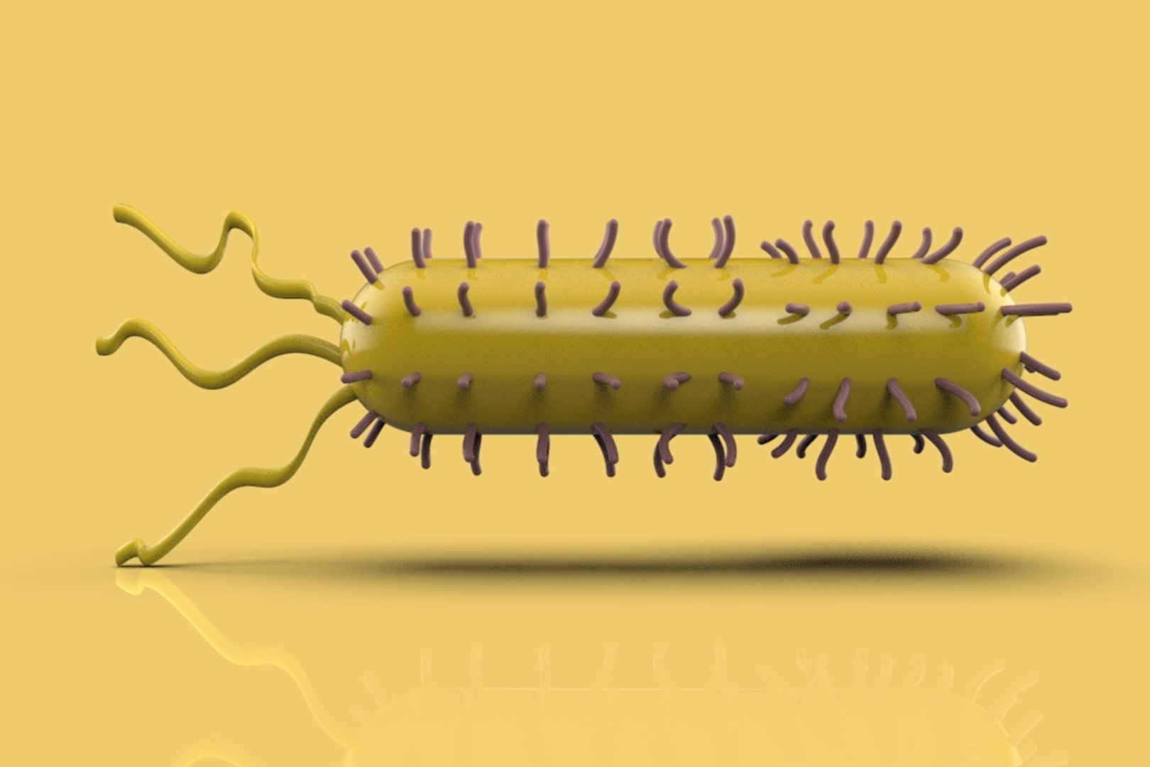 3D Model Bacteria Biological Cell - TurboSquid 1440376