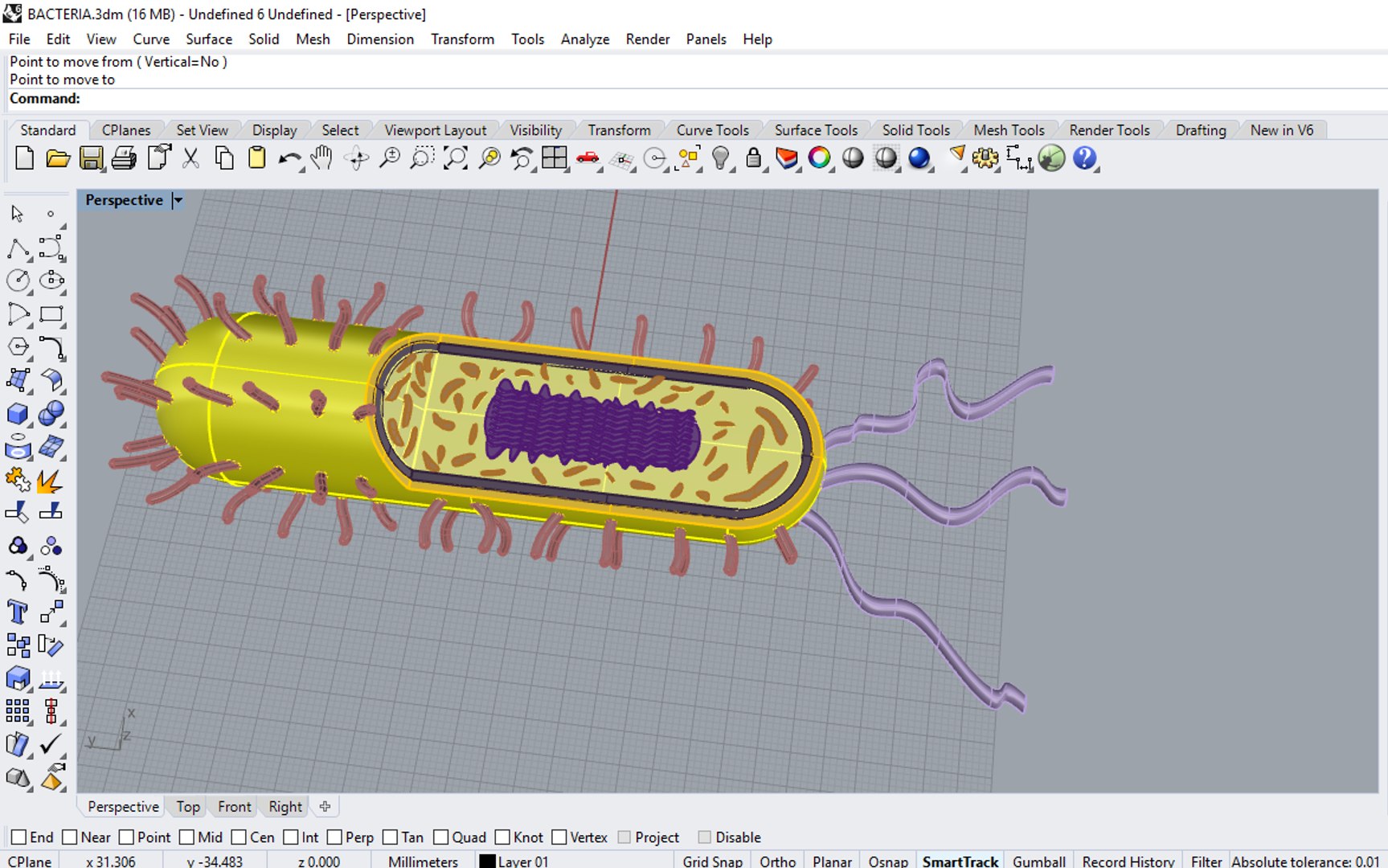 3D Model Bacteria Biological Cell - TurboSquid 1440376