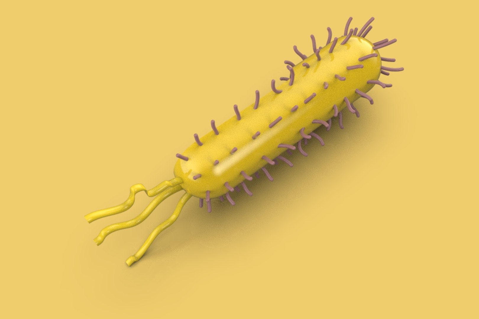 3D Model Bacteria Biological Cell - TurboSquid 1440376