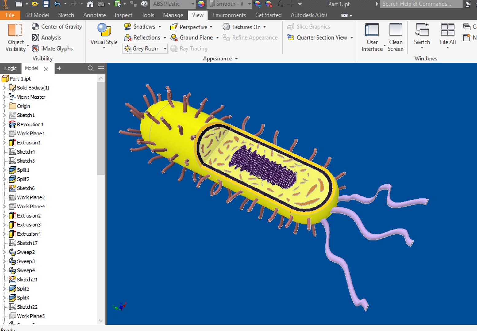 3D Model Bacteria Biological Cell - TurboSquid 1440376