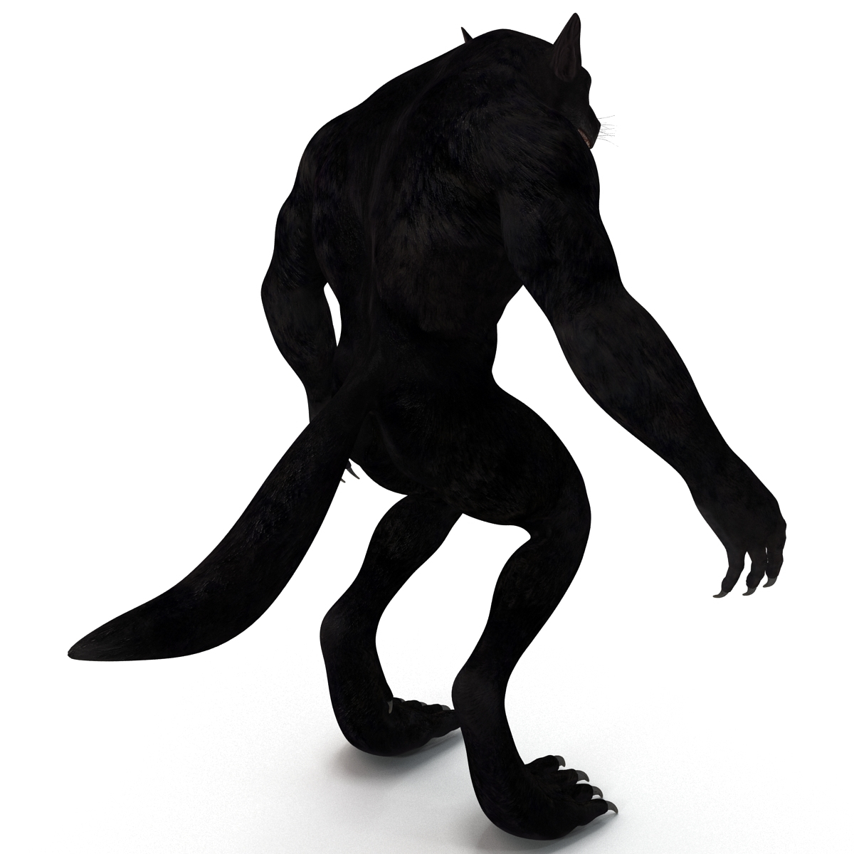 max werewolf wolf