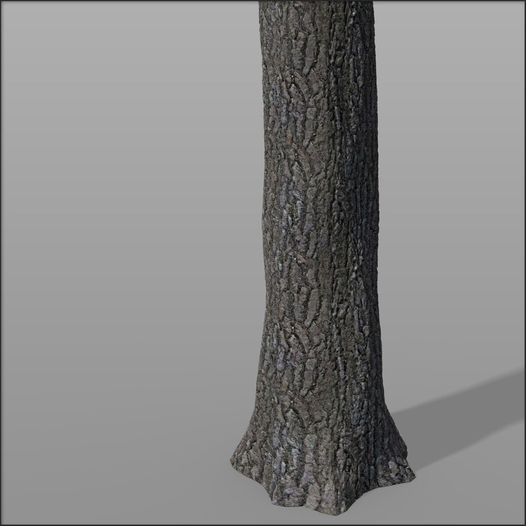 3d Model Forest Trees - Pines