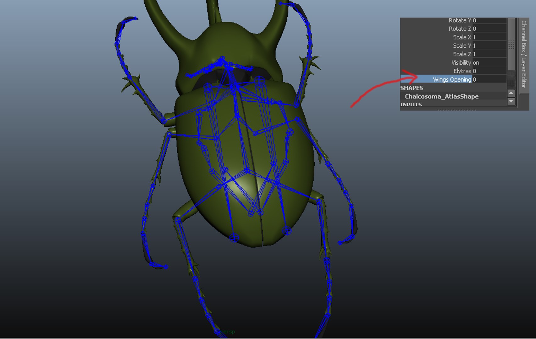 3d Atlas Beetle Rigged Wings Model