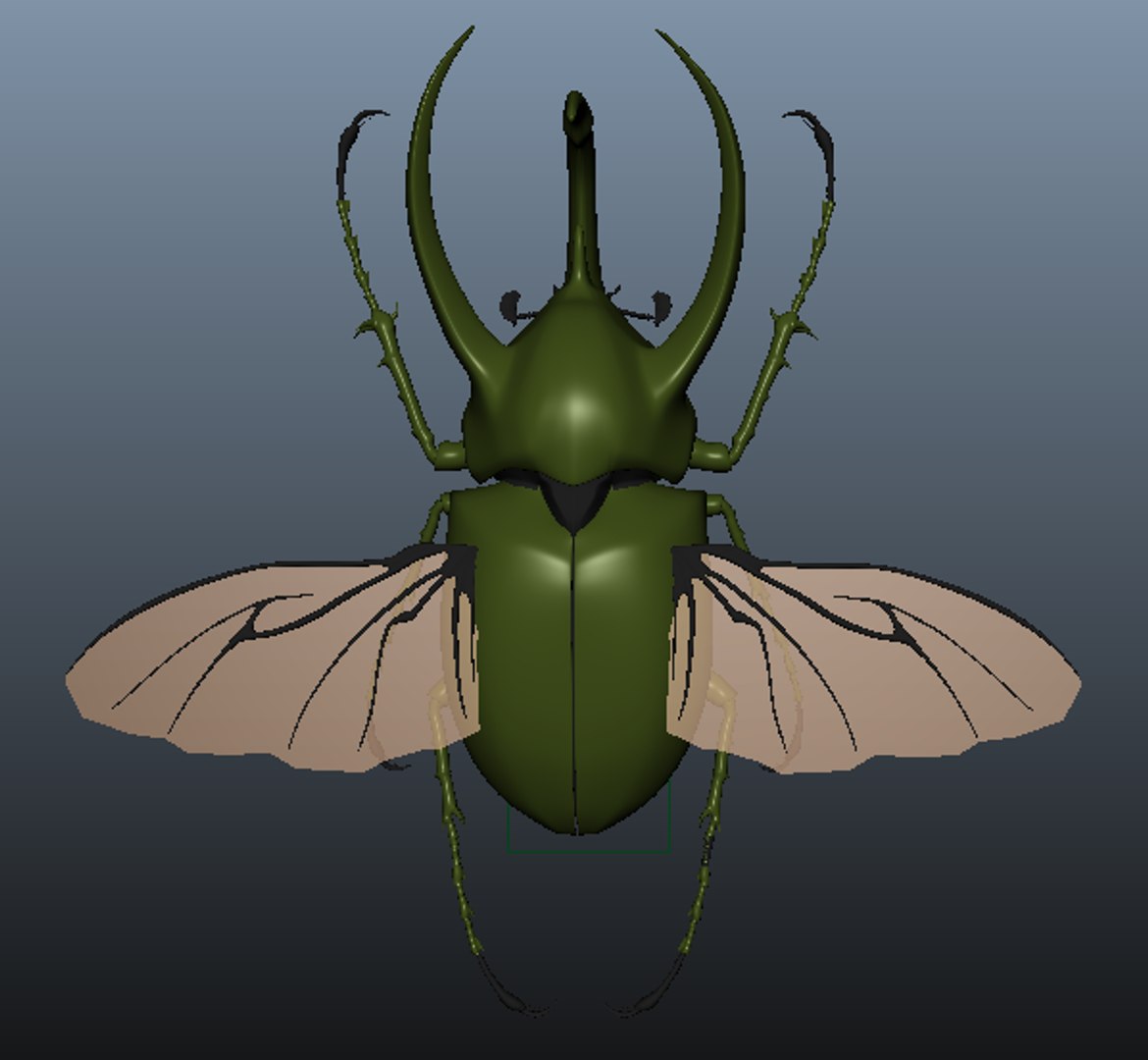 3d Atlas Beetle Rigged Wings Model