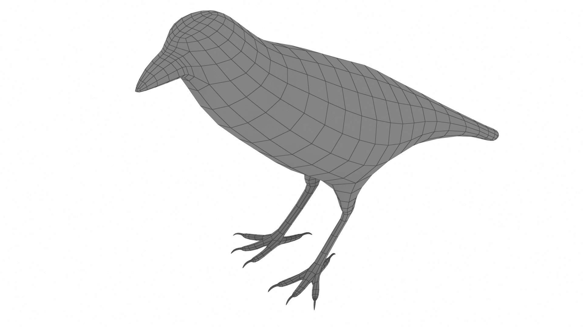 Crow 3D Model - TurboSquid 2329550