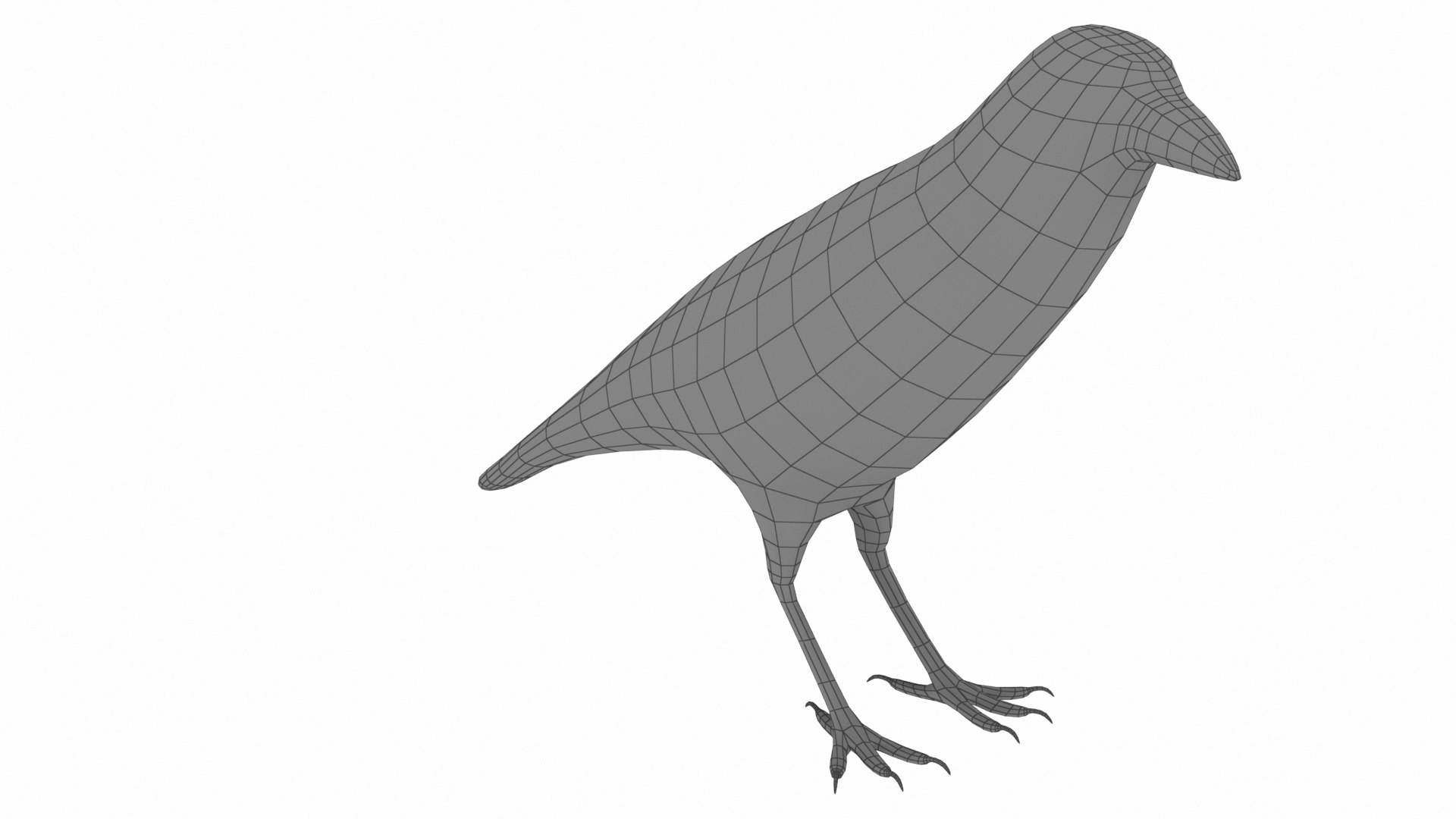 Crow 3D Model - TurboSquid 2329550