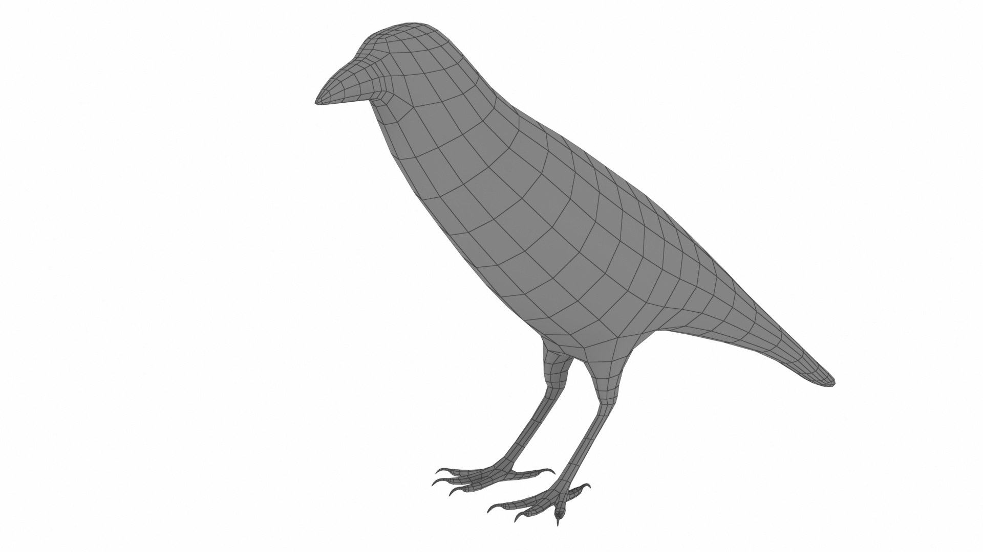 Crow 3D Model - TurboSquid 2329550