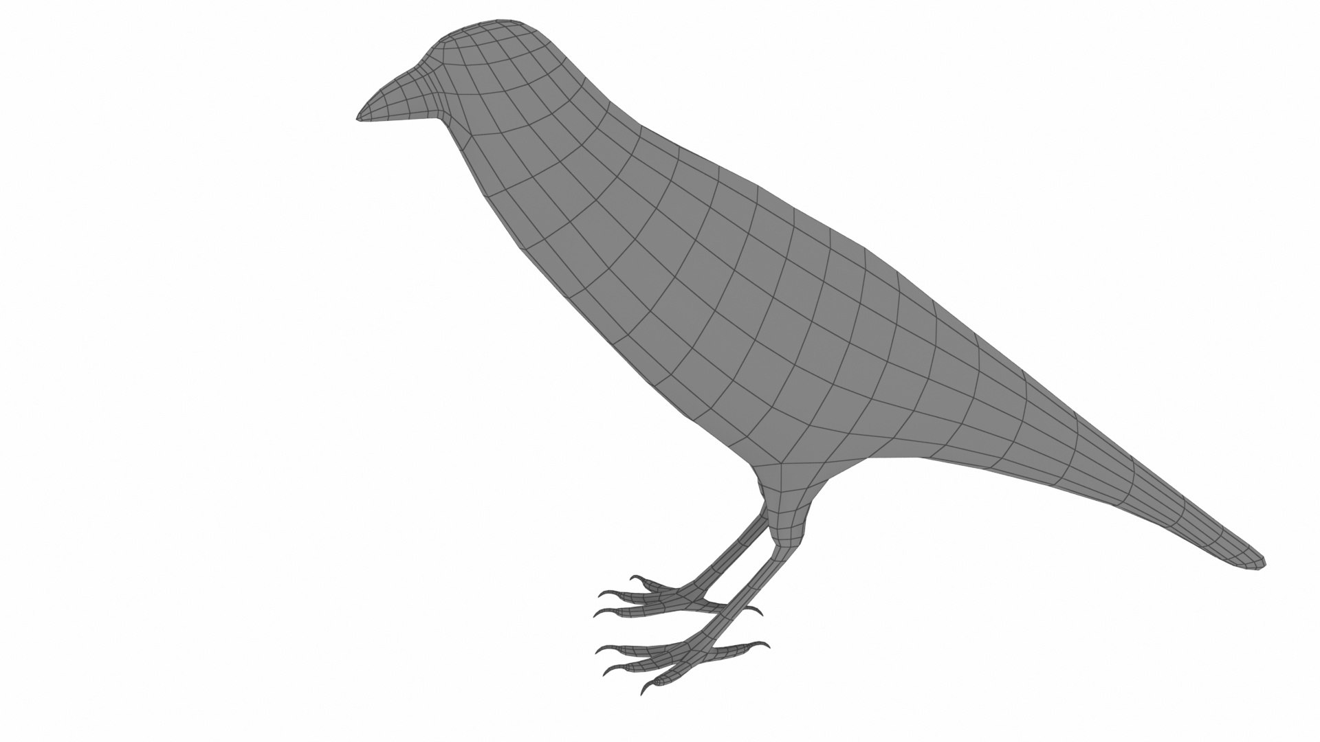 Crow 3D Model - TurboSquid 2329550