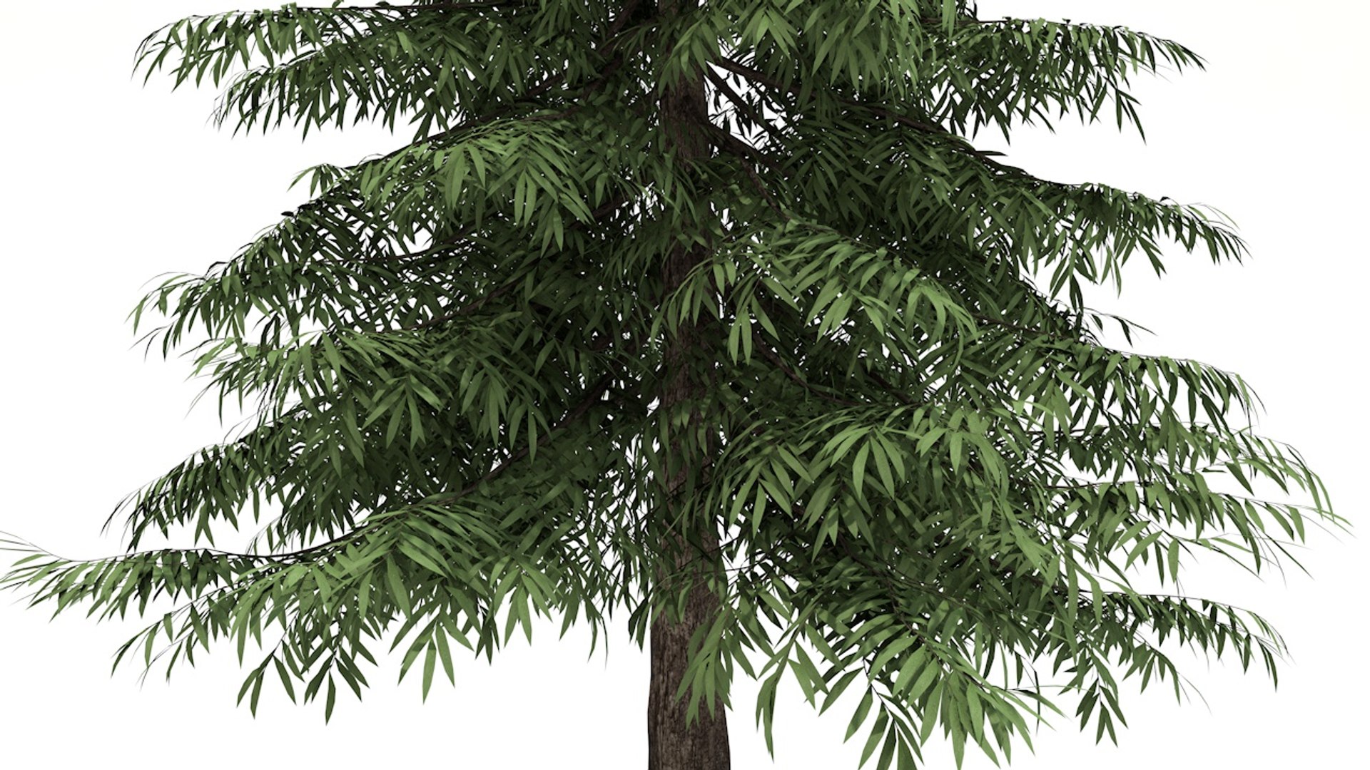 Yellow Cypress Tree 3D - TurboSquid 1401221